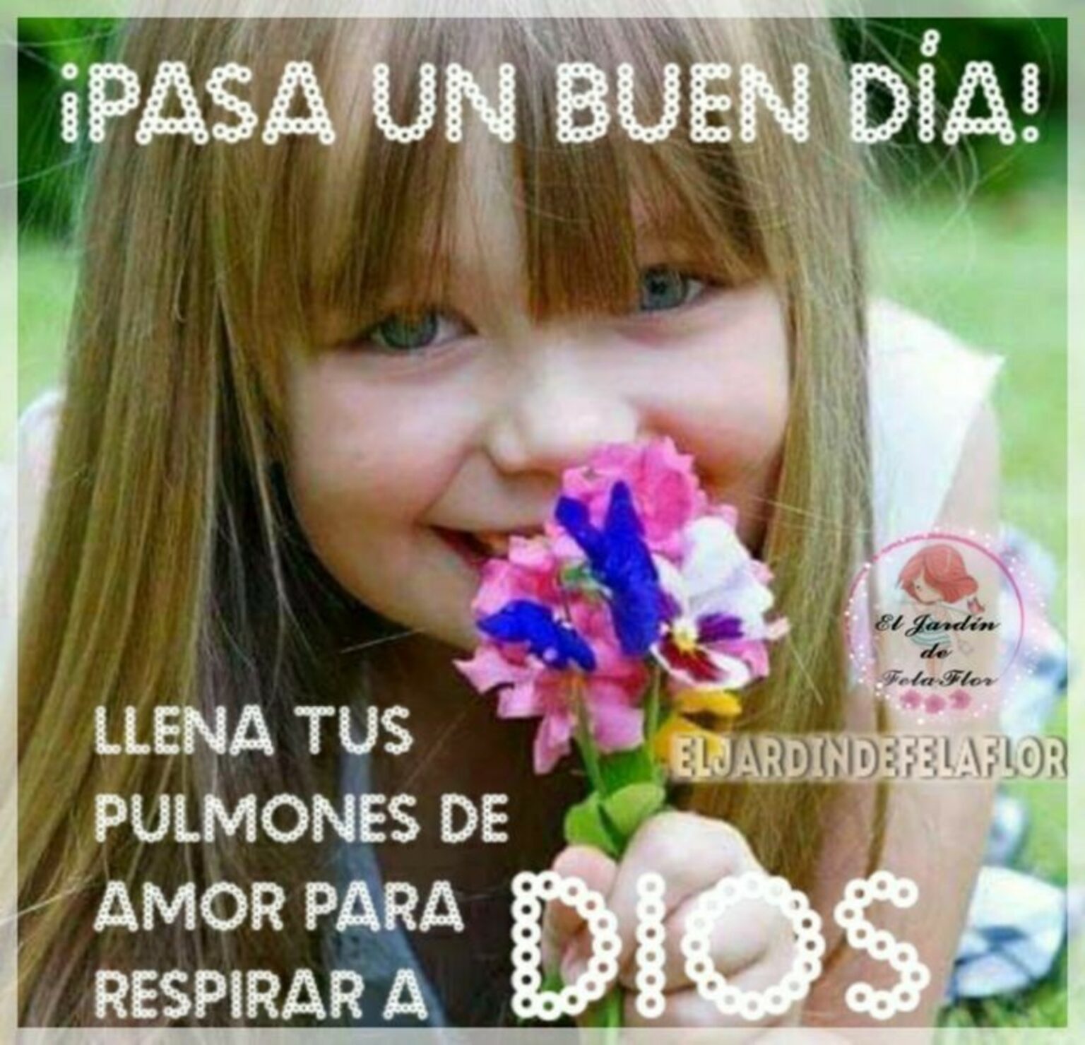 53 Imágenes para desear Buen Día - ImagenesMuyBonitas.net