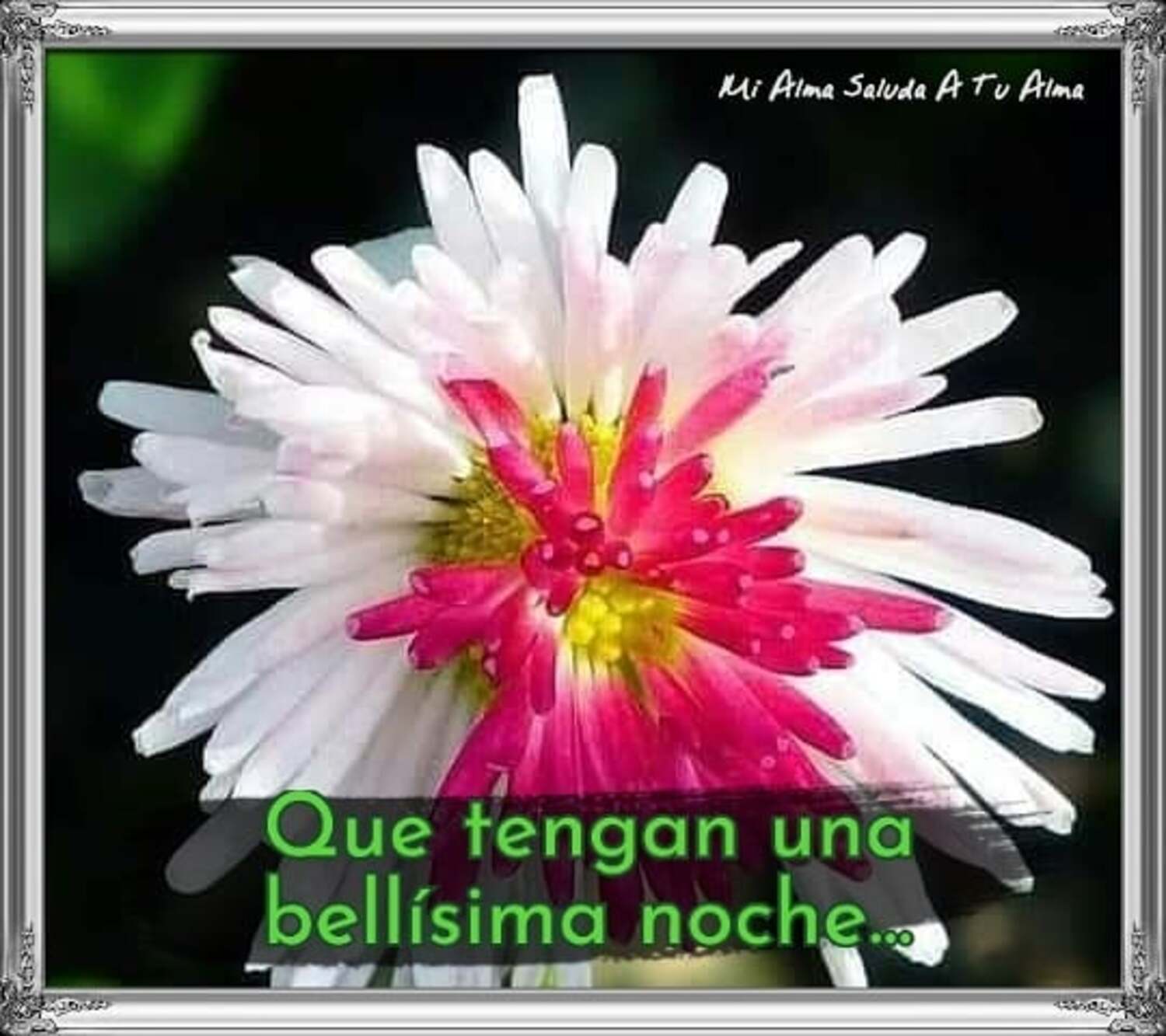 50 Linda Noche imágenes y mensajes - ImagenesMuyBonitas.net