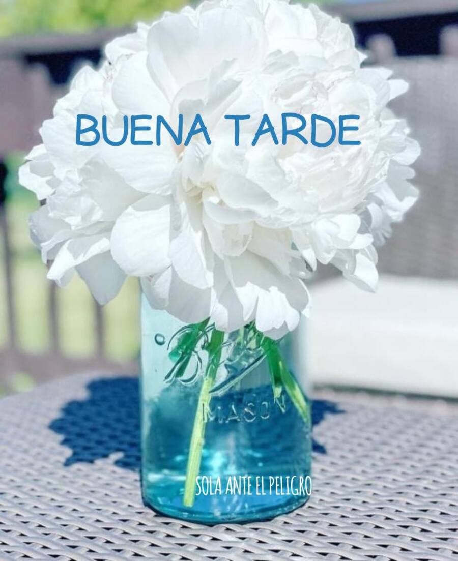 40+ imágenes nuevas de Feliz Tarde - ImagenesMuyBonitas.net