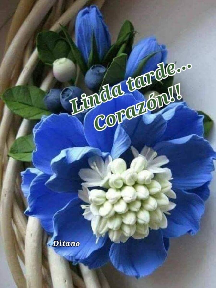 40+ imágenes nuevas de Feliz Tarde - ImagenesMuyBonitas.net