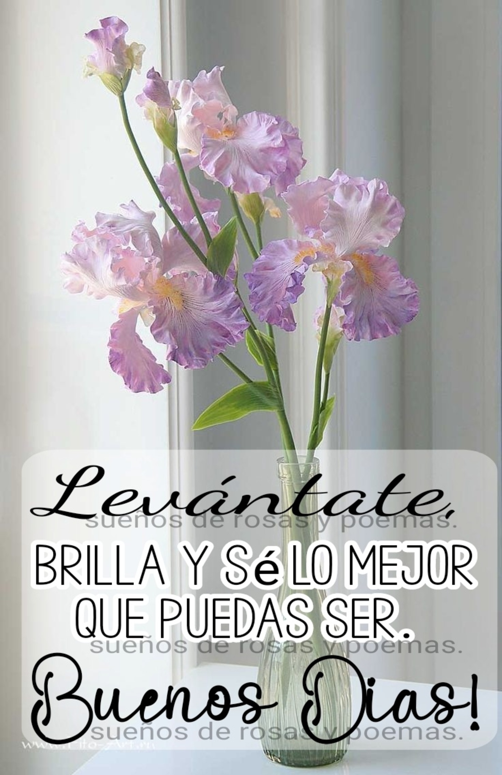 30+ Imágenes muy bonitas para Buenos Días - ImagenesMuyBonitas.net