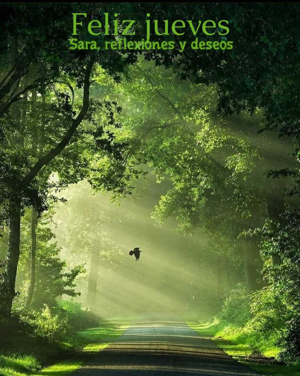 50 lindas imágenes de Feliz Jueves - ImagenesMuyBonitas.net