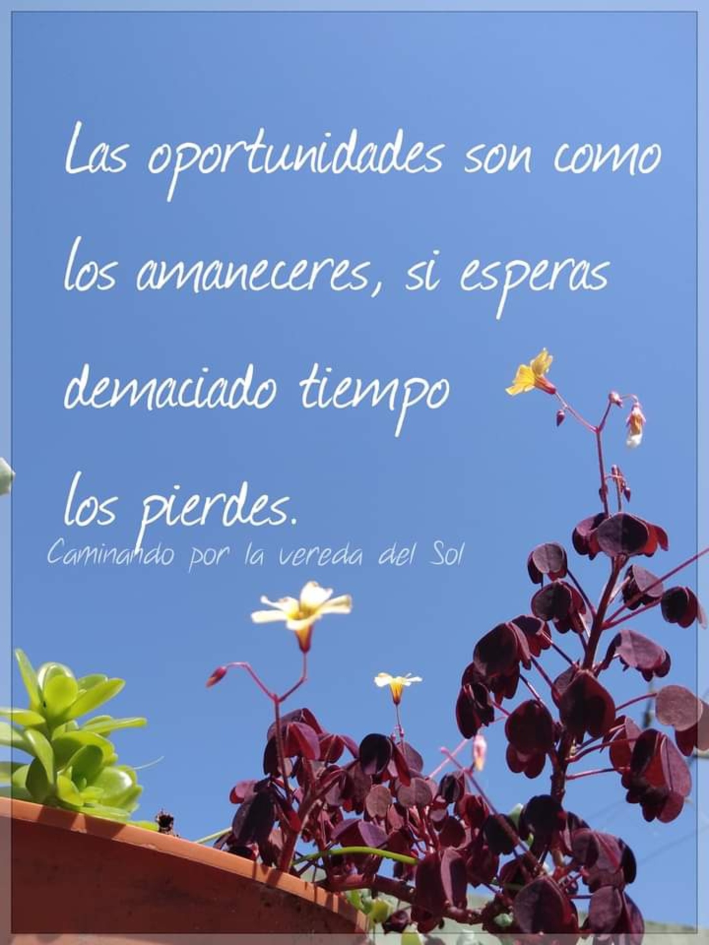 42+ bonitas frases para descargar y compartir - ImagenesMuyBonitas.net