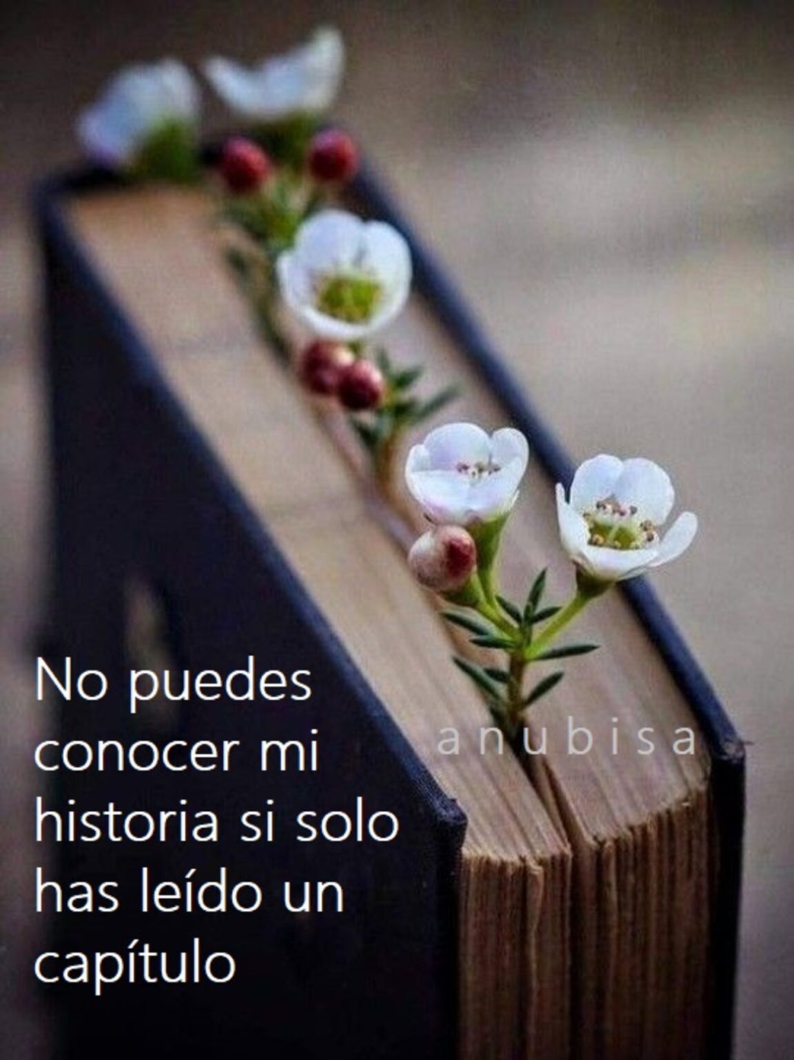 42+ bonitas frases para descargar y compartir - ImagenesMuyBonitas.net