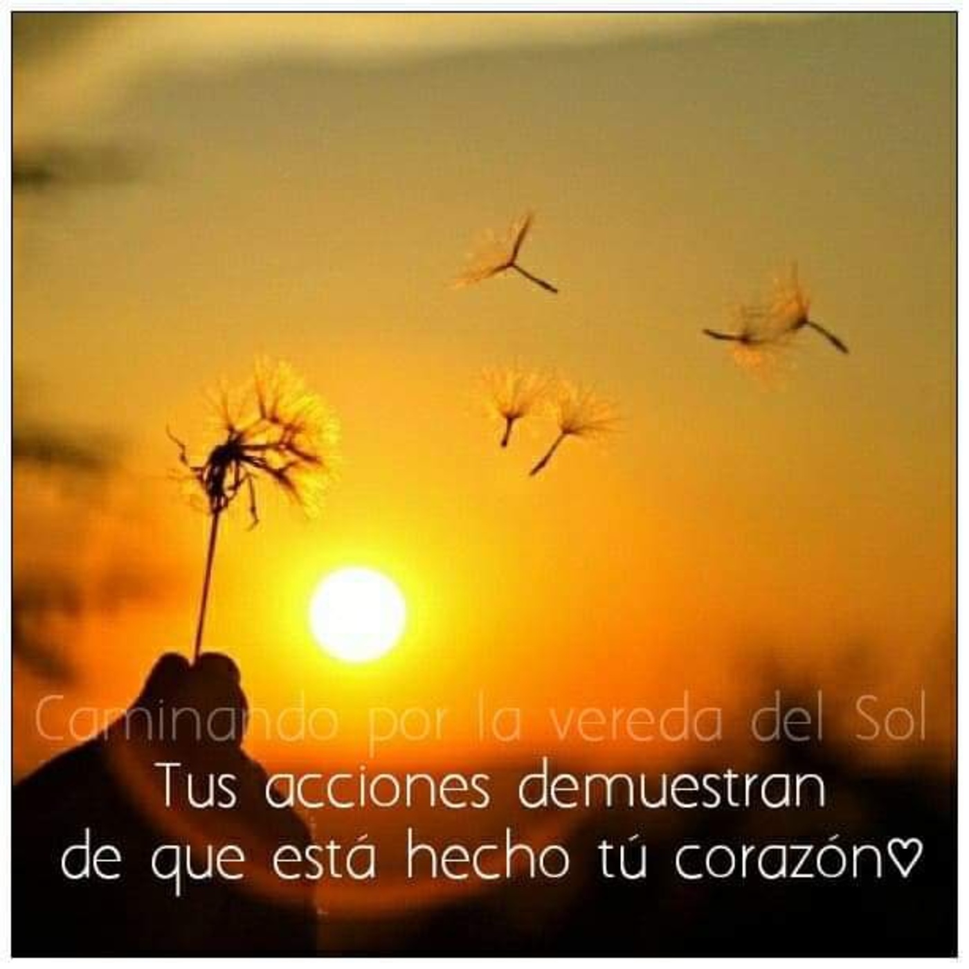 42+ Frases bonitas para reflexionar - ImagenesMuyBonitas.net