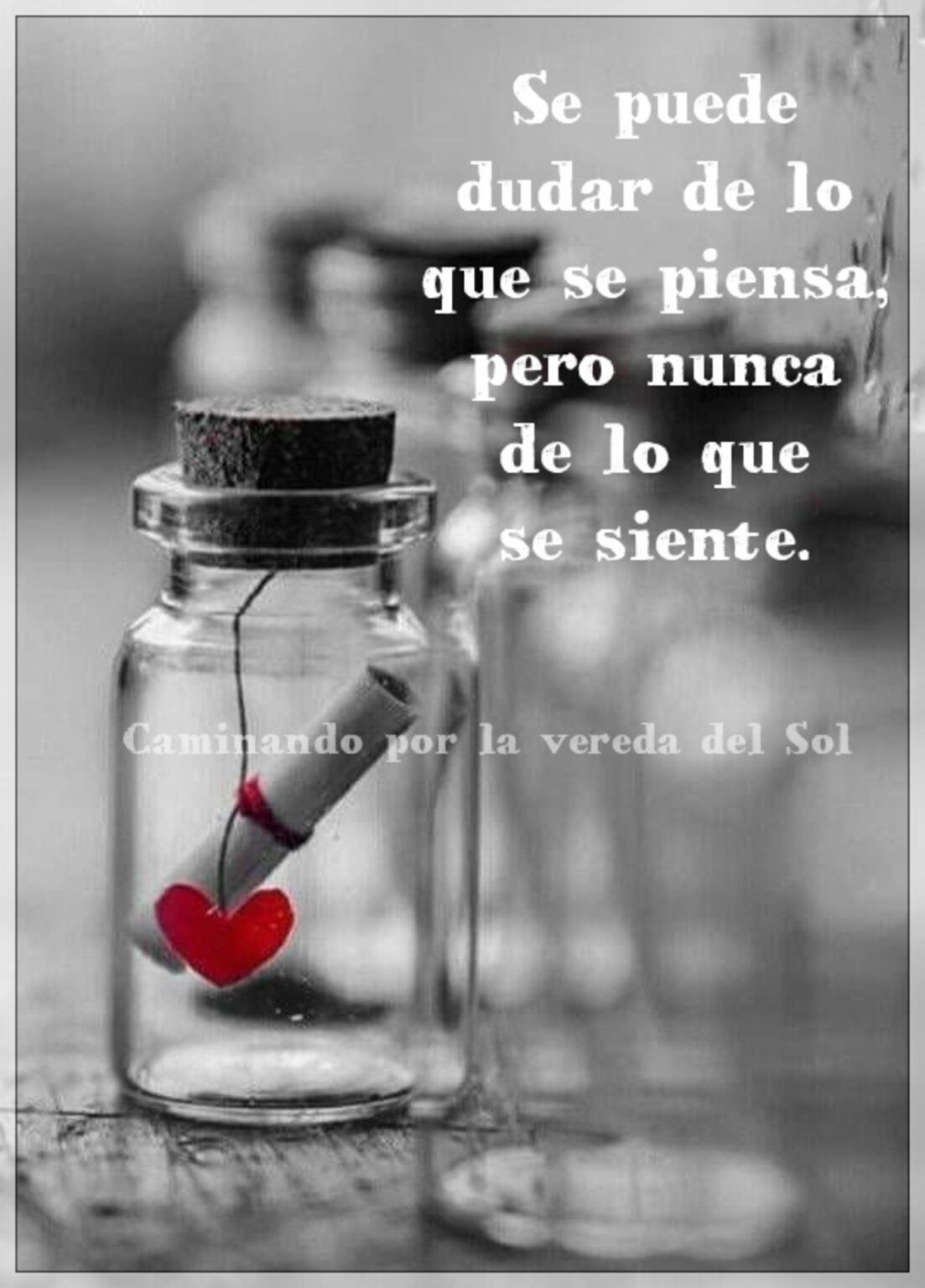 42+ Frases bonitas para reflexionar - ImagenesMuyBonitas.net