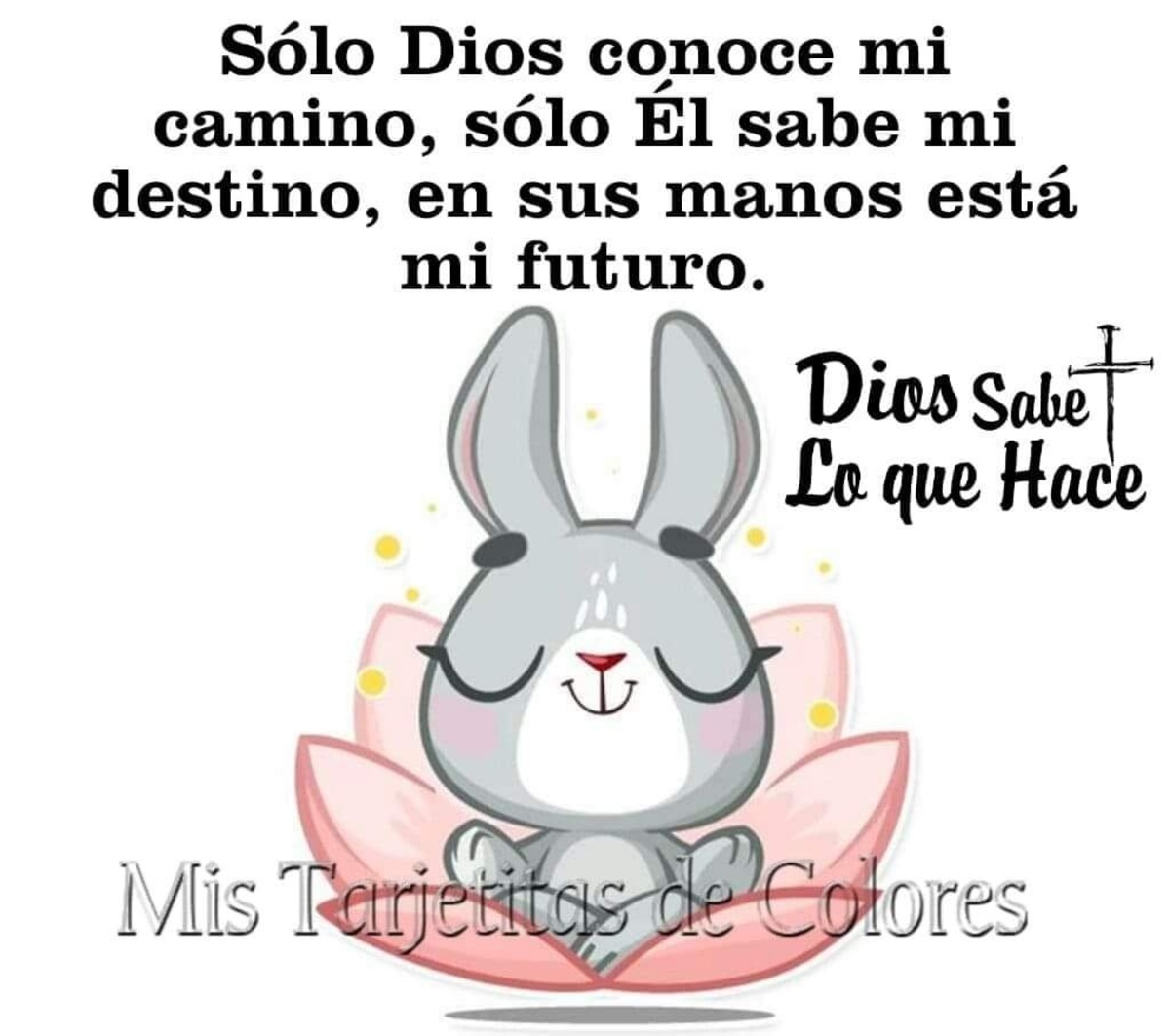 41+ Frases Religiosas bonitas para reflexionar - ImagenesMuyBonitas.net