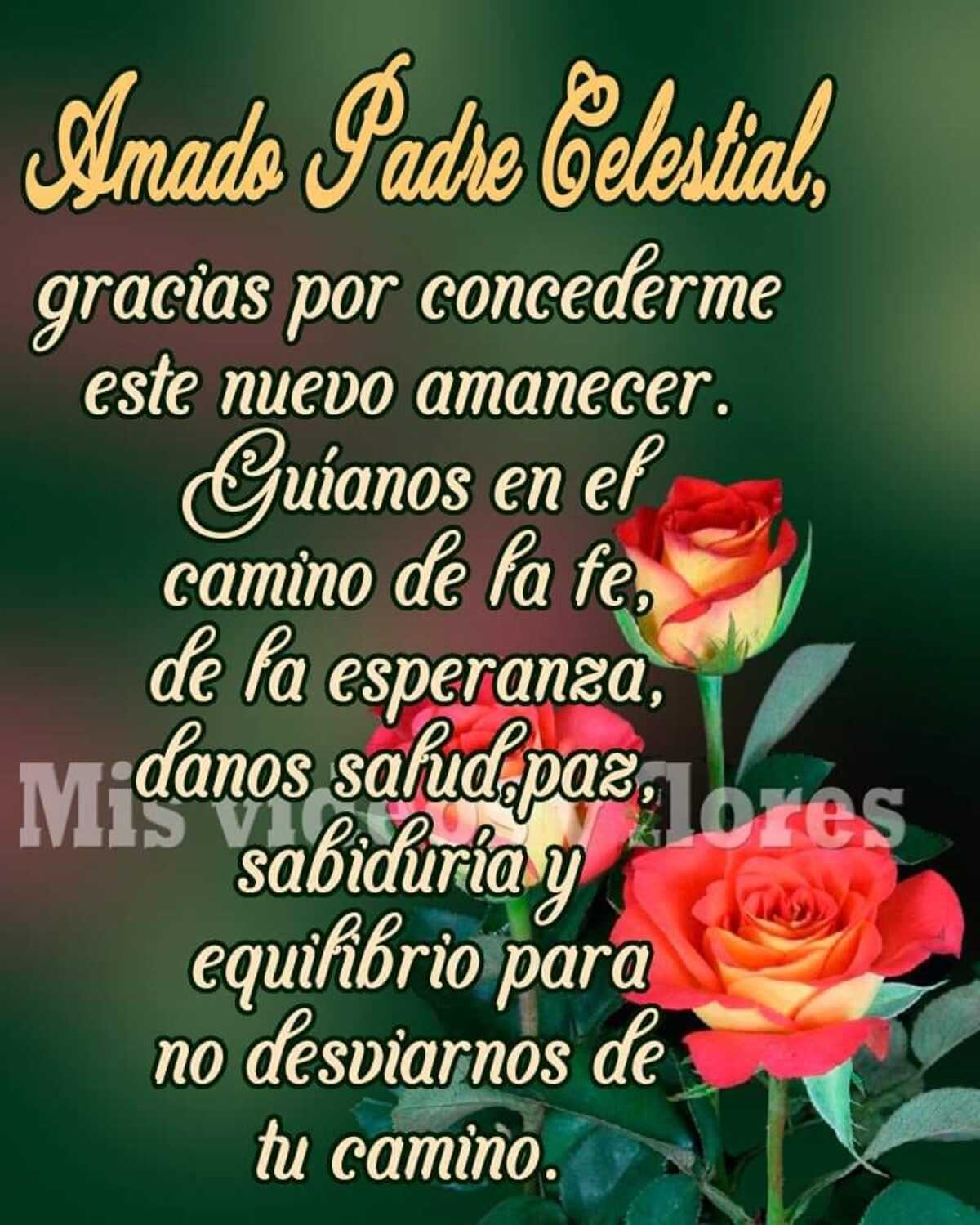 41+ Frases Religiosas bonitas para reflexionar - ImagenesMuyBonitas.net