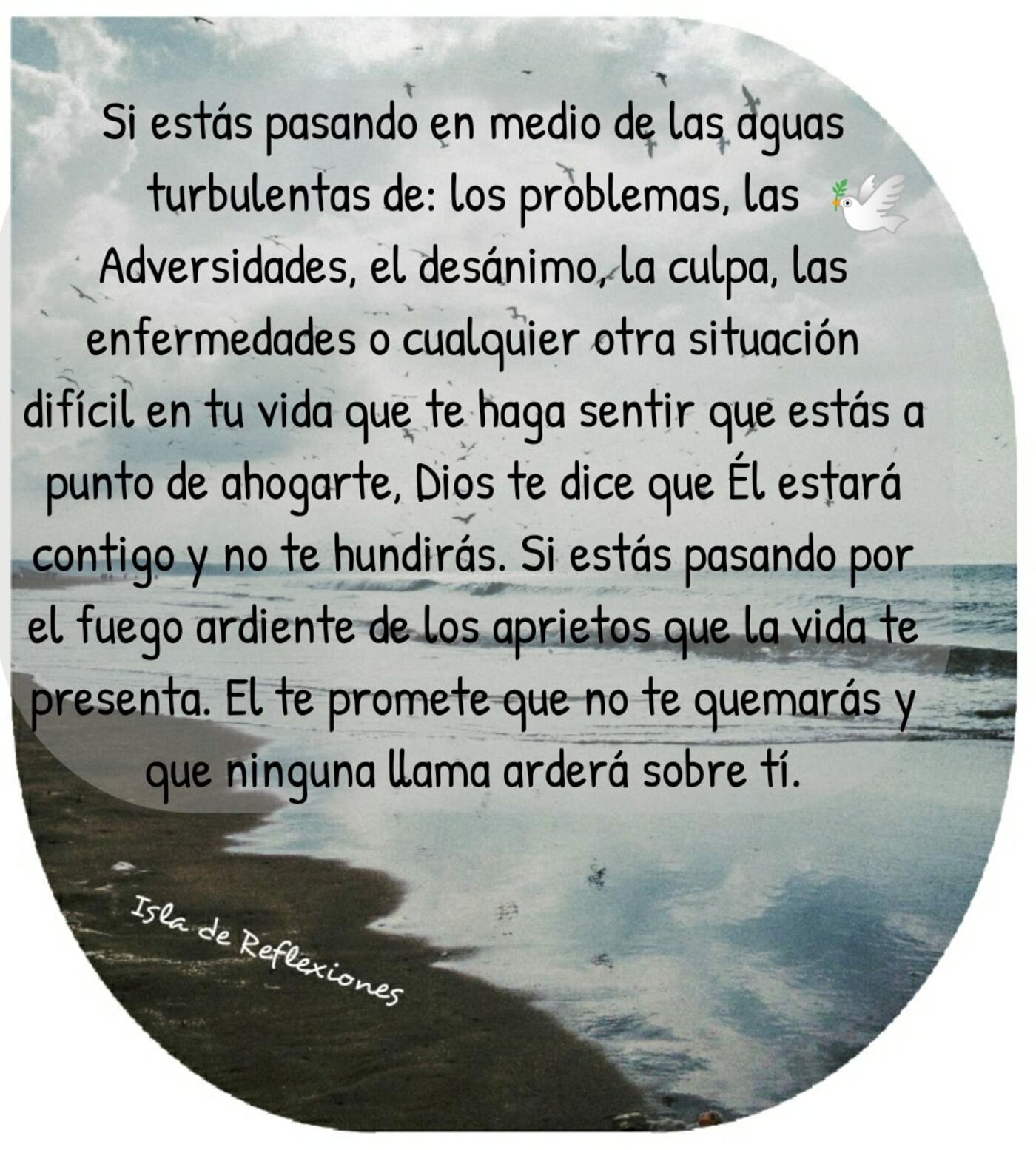 57 Frases hermosas para compartir - ImagenesMuyBonitas.net