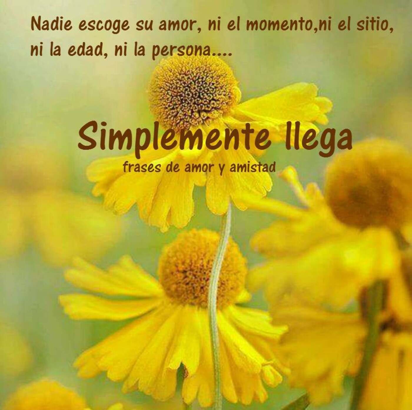 57 Frases hermosas para compartir - ImagenesMuyBonitas.net