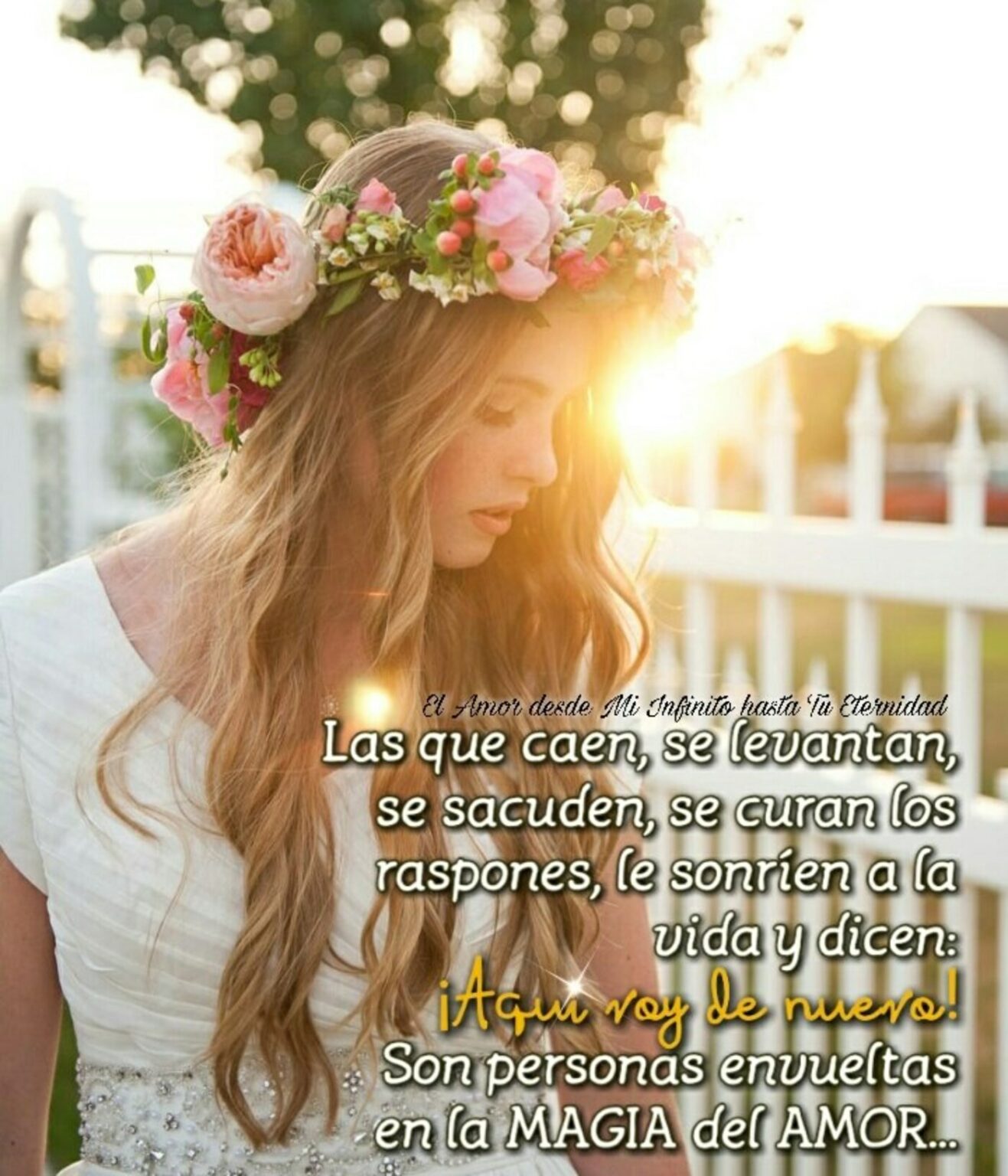 43+ Frases lindas para Facebook y WhatsApp - ImagenesMuyBonitas.net