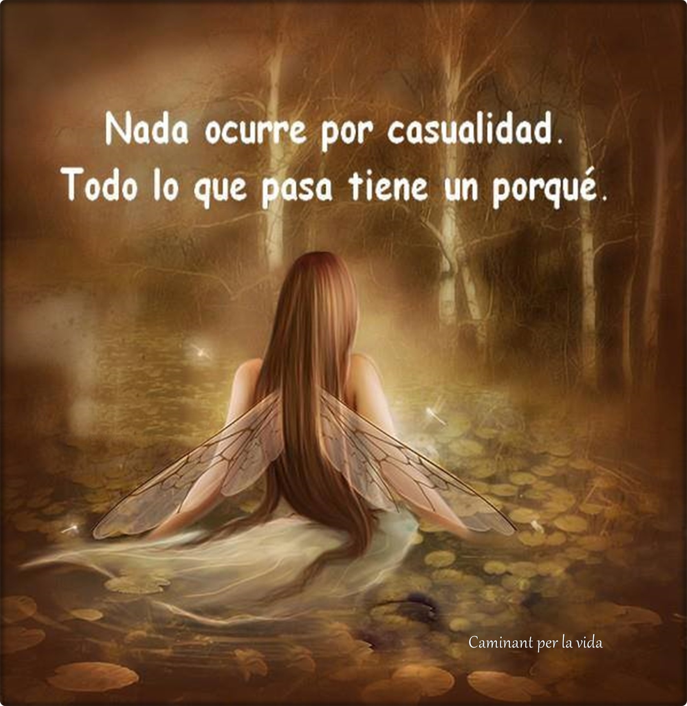 43+ Frases lindas para Facebook y WhatsApp - ImagenesMuyBonitas.net