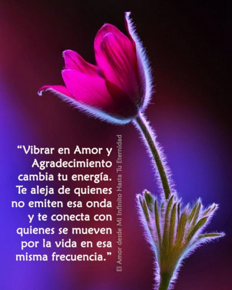 43+ Frases lindas para Facebook y WhatsApp - ImagenesMuyBonitas.net