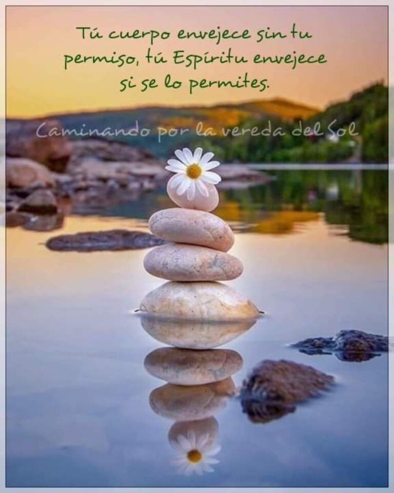 43+ Frases lindas para Facebook y WhatsApp - ImagenesMuyBonitas.net