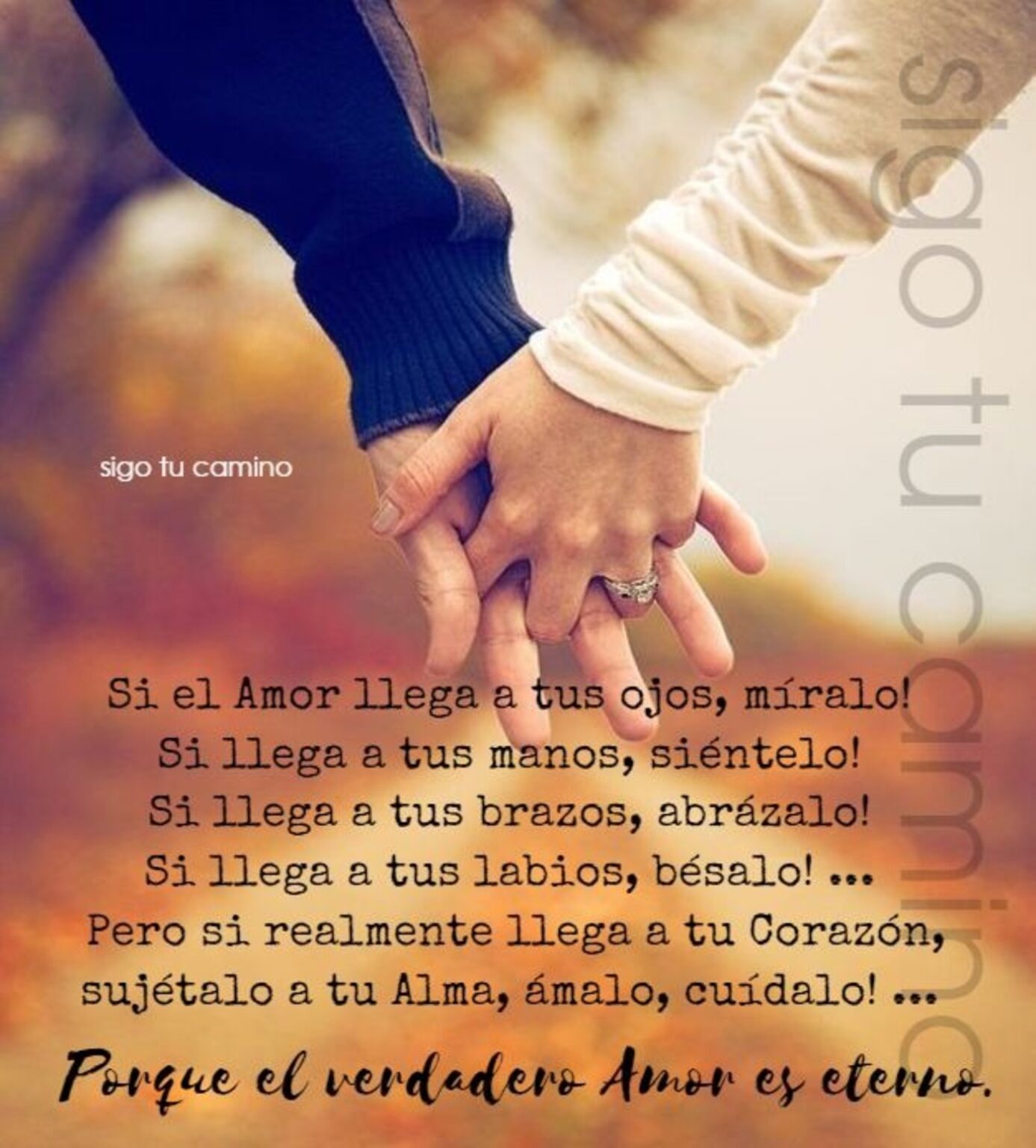 Frases hermosas para guardar en Pinterest - ImagenesMuyBonitas.net