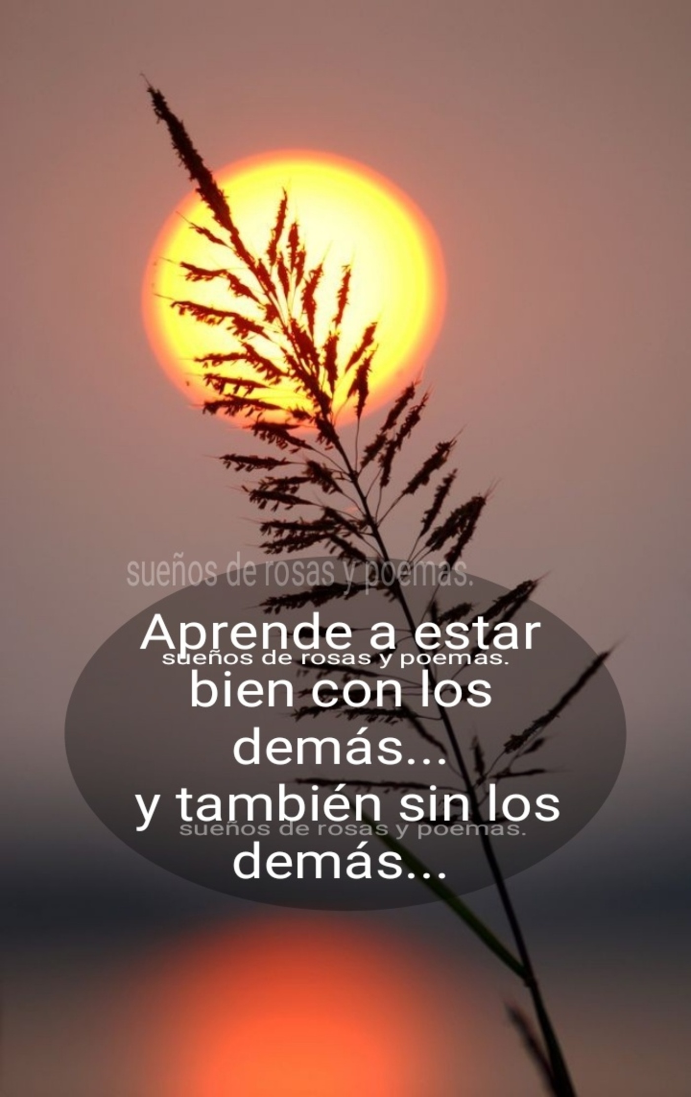 Frases hermosas para guardar en Pinterest - ImagenesMuyBonitas.net