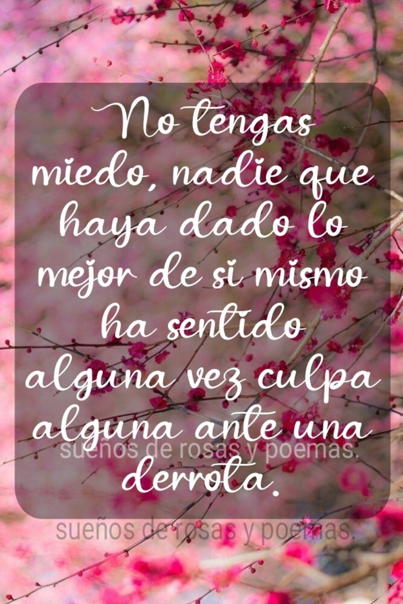 49+ Frases que te hacen reflexionar y pensar - ImagenesMuyBonitas.net