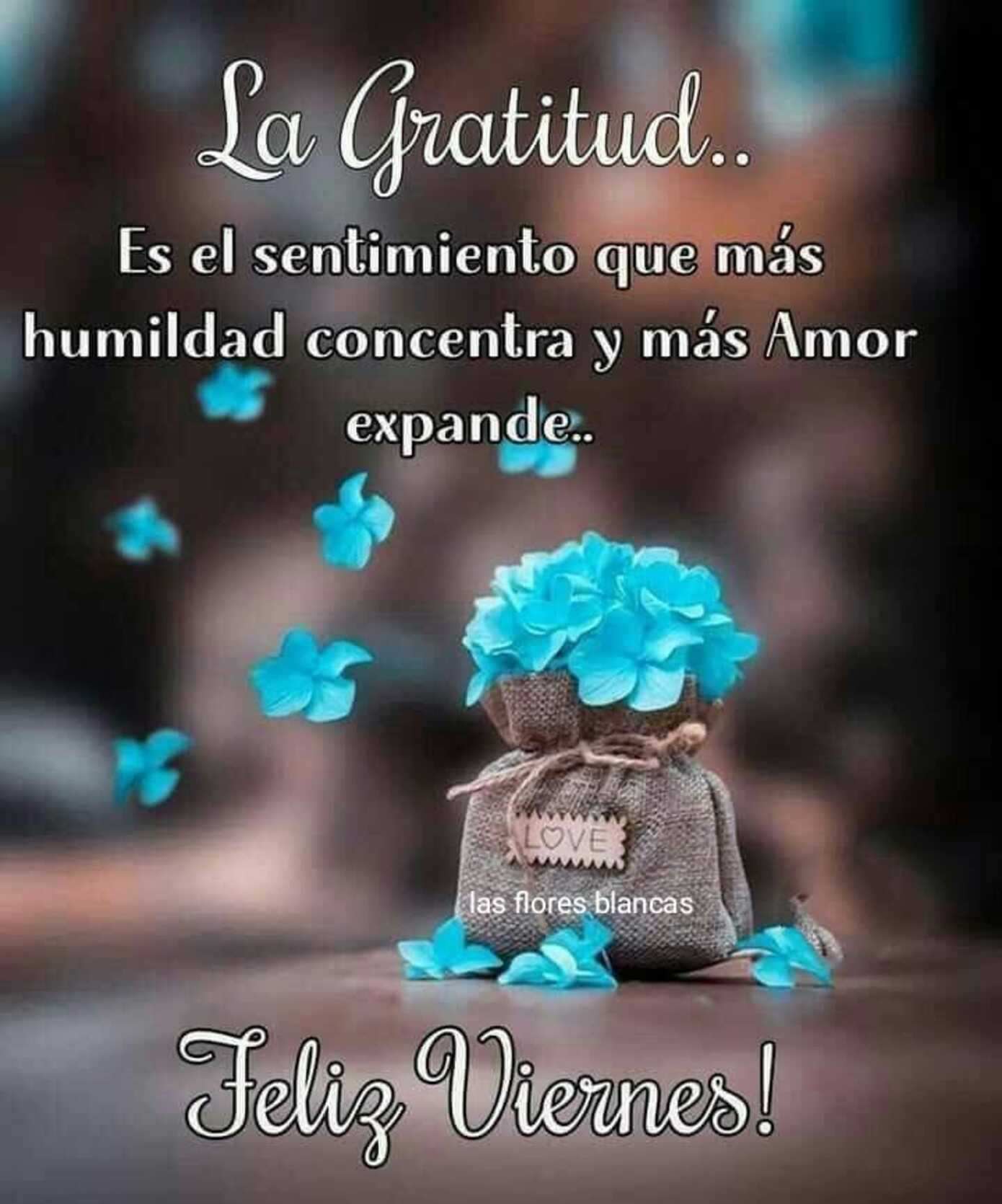 45 Buenos Días Feliz Viernes imágenes - ImagenesMuyBonitas.net