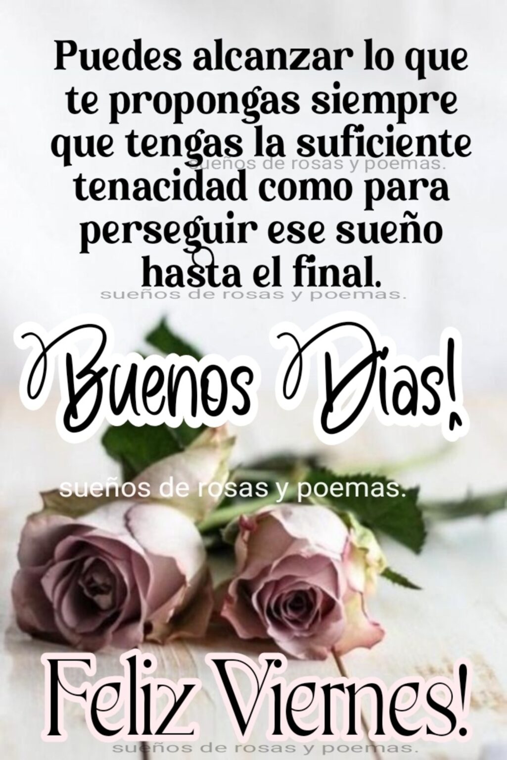 53 Imágenes Para Decir Muy Feliz Viernes